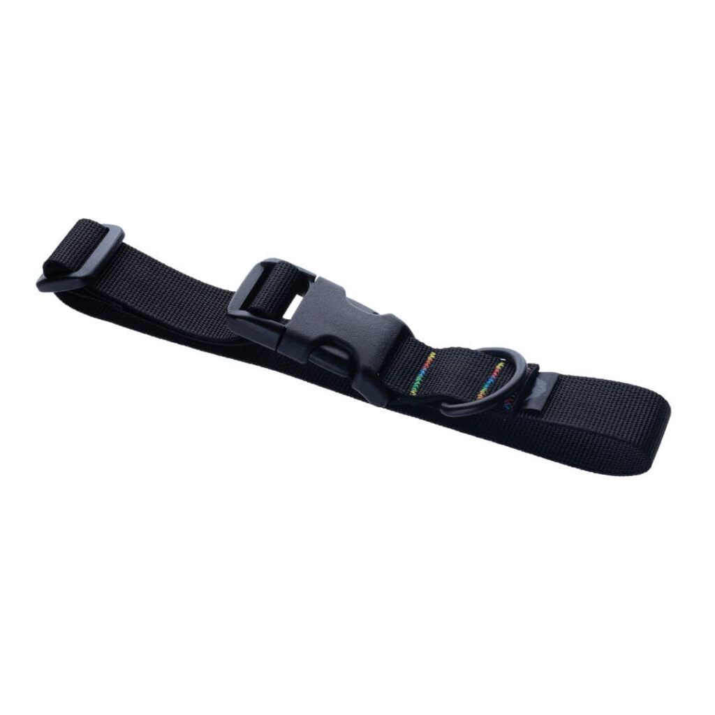Blue Alpha Dog Collar | Blue Alpha