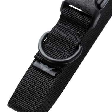 Blue Alpha Dog Collar | Blue Alpha