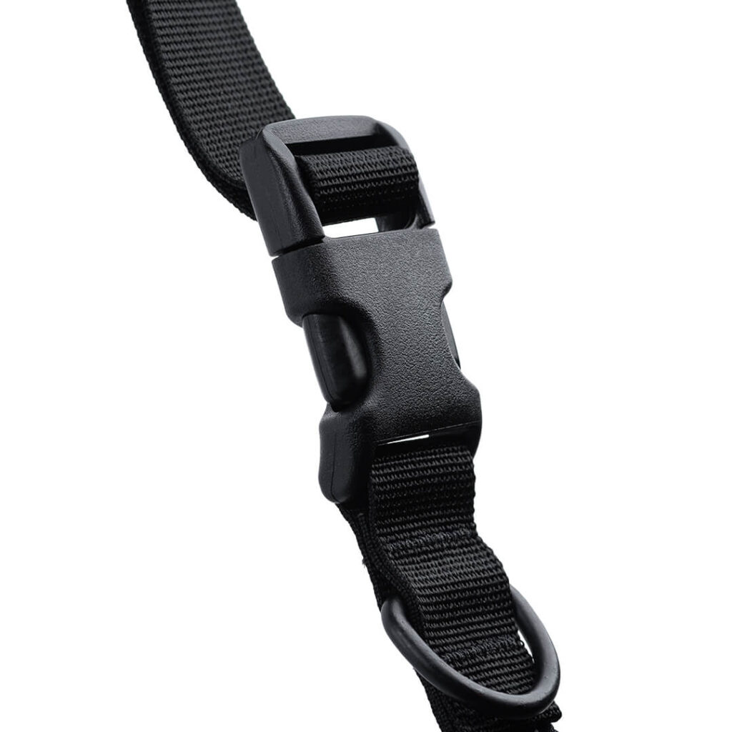 Blue Alpha Dog Collar | Blue Alpha