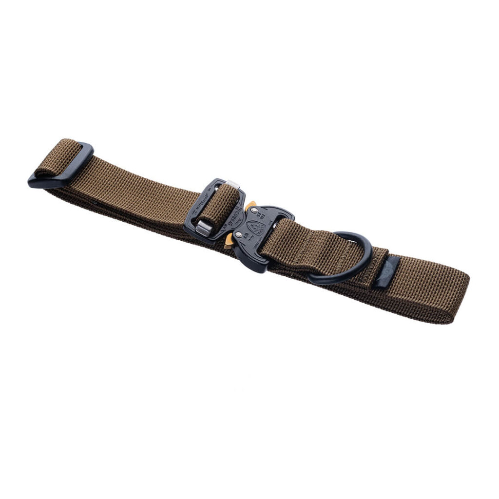 Blue Alpha COBRA Buckle Dog Collar | Blue Alpha