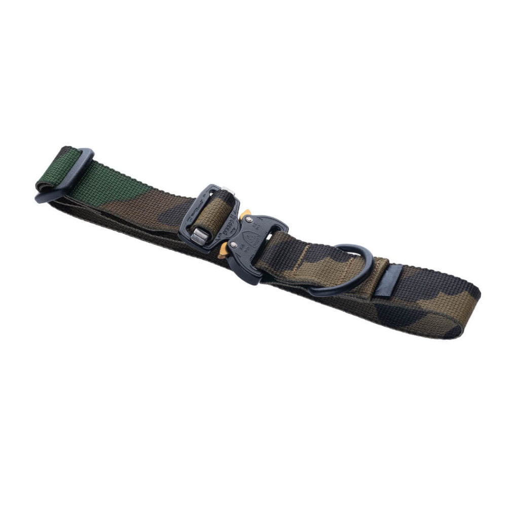 Blue Alpha Dog Collar | Blue Alpha