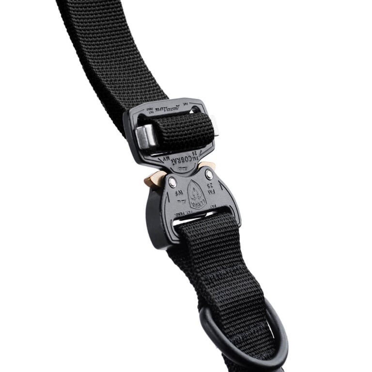 Blue Alpha Dog Collar | Blue Alpha