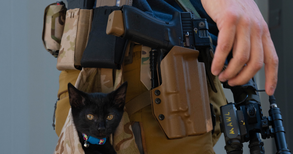 The Blue Alpha Battle Belt Difference: What Sets Us Apart | Blue Alpha
